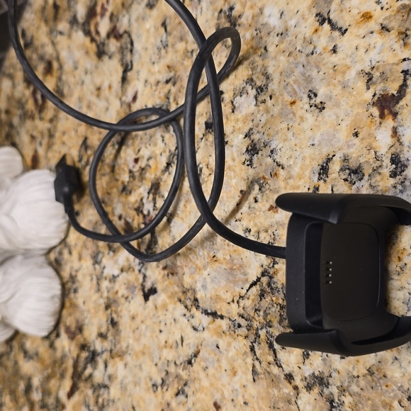 fitbit | Wearables | Fit Bit Versa 2 Charger | Poshmark